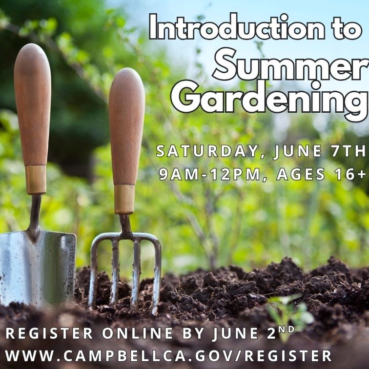 Introduction to Summer Gardening - Ages 16+ | Downtown Campbell