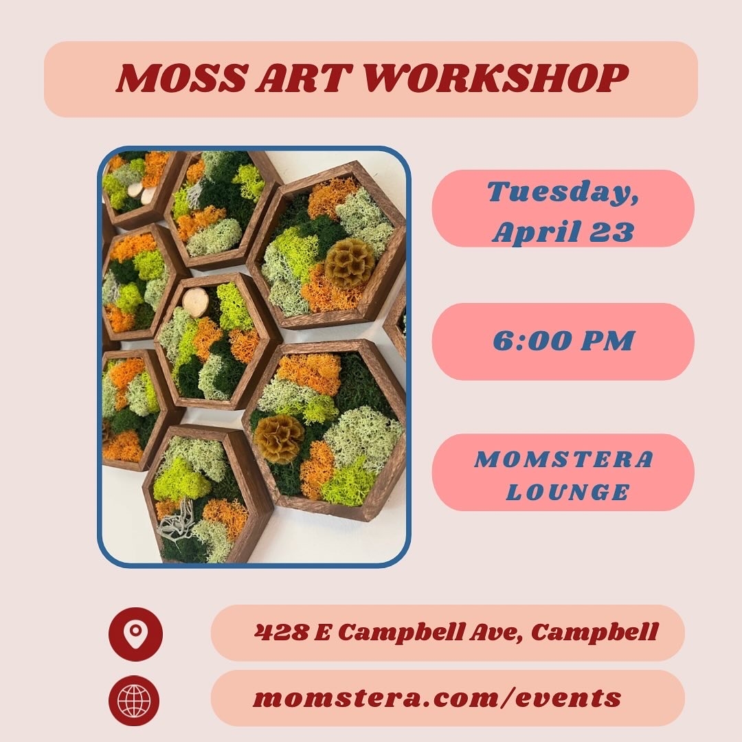 Moss Wall Art Workshop | Downtown Campbell