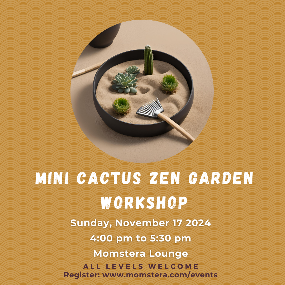 Mini Cactus Zen Garden Workshop | Downtown Campbell