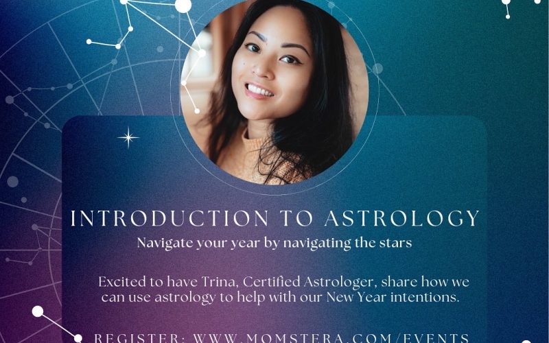 Introduction to Astrology: Navigate Your Year by Navigating the Stars ...