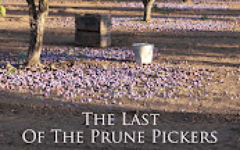 Author Tim Stanley: "The Last of the Prune Pickers" | Downtown Campbell