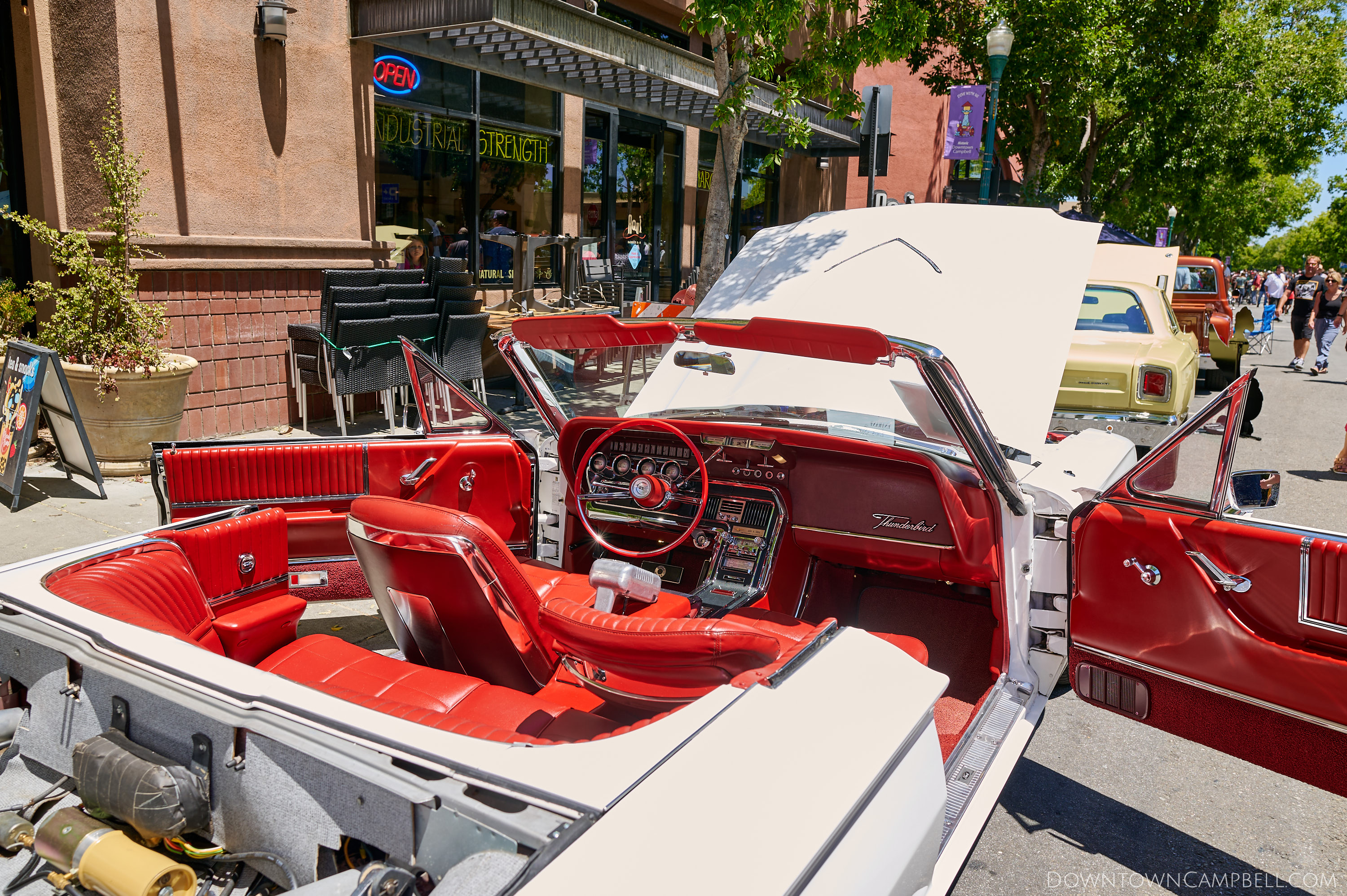 Campbell Car Show 2024